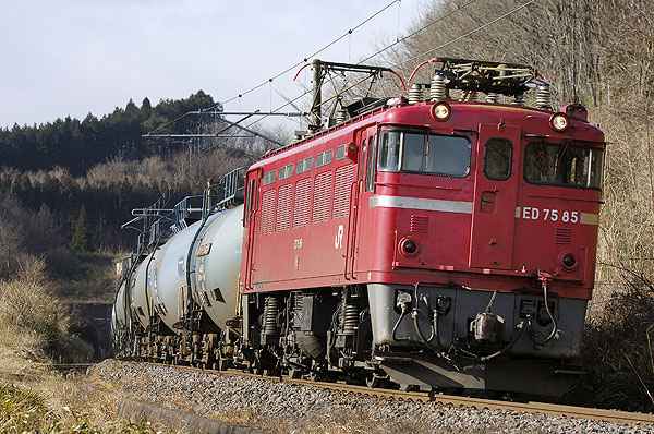 ED75・85