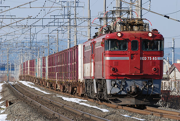 ED75・85